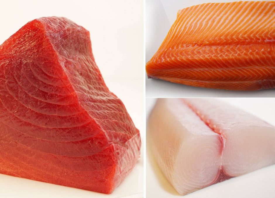 Shop All – Honolulu Fish