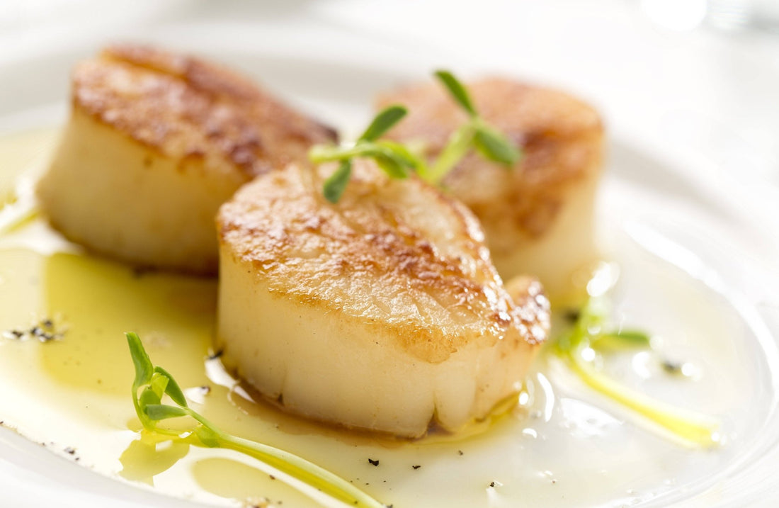 Premium U-10 Scallops (USA Pack) 1 lb – Honolulu Fish